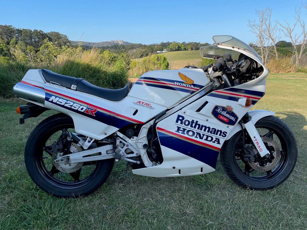 1984 HONDA NS250R SPORTS - JBMD5201372 - JUST BIKES